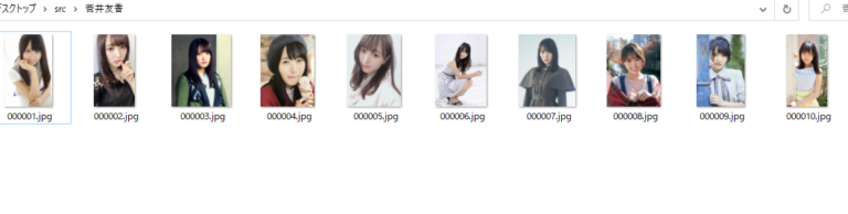 【Python応用】icrawlerを用いて画像を一括でダウンロードする方法